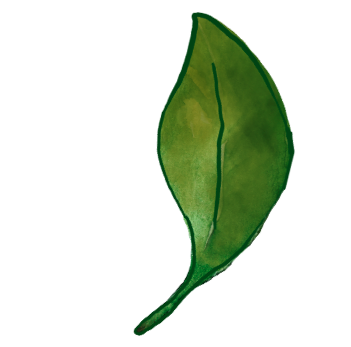 Products - Onken Onken