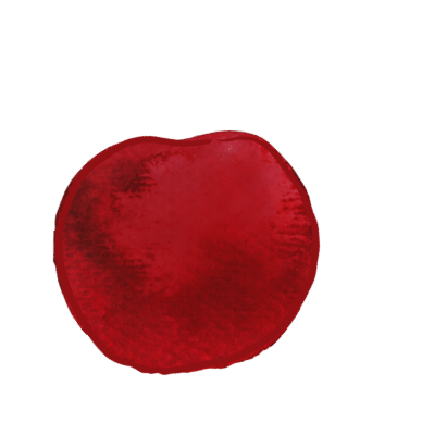 Onken Home - Onken Onken