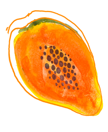 Mango Papaya Passion Fruit - Onken Onken