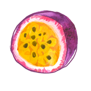 Passionfruit & Mango Frozen Lollies - Onken Onken