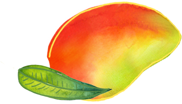 Products - Onken Onken