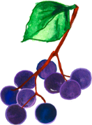 About Us - Onken Onken