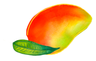 About Us - Onken Onken