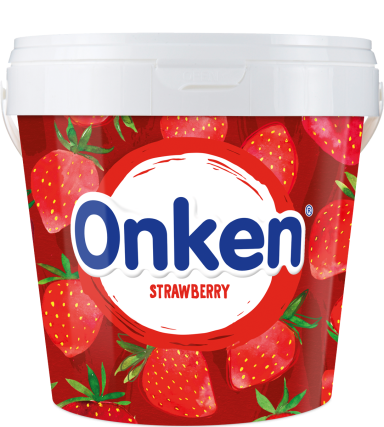Natural Set Yogurt | Onken