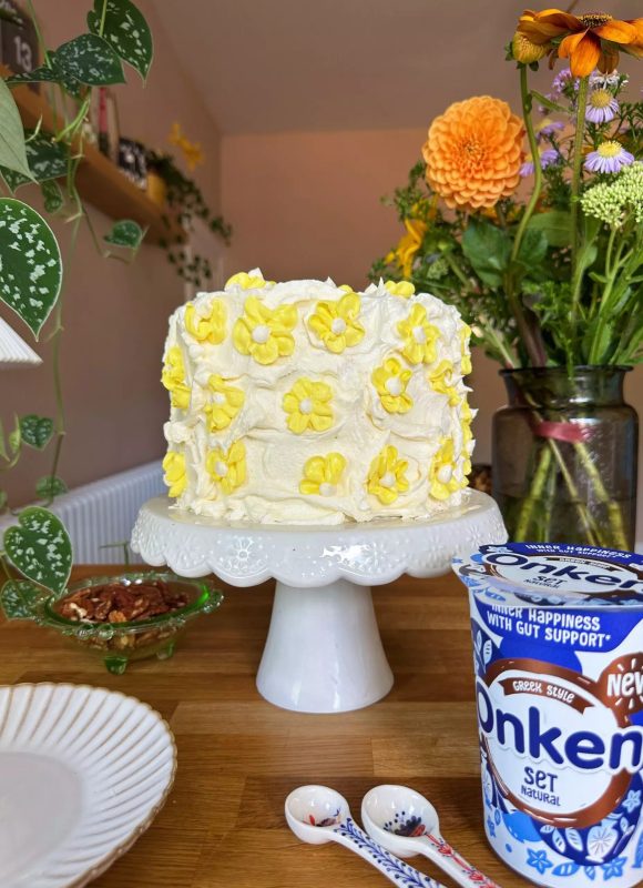 Greek Style Natural Set Yogurt - Onken Onken